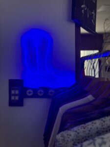 Cowboy Boot Neon Sign | Echo Neon #1 LED Neon Sign Brand