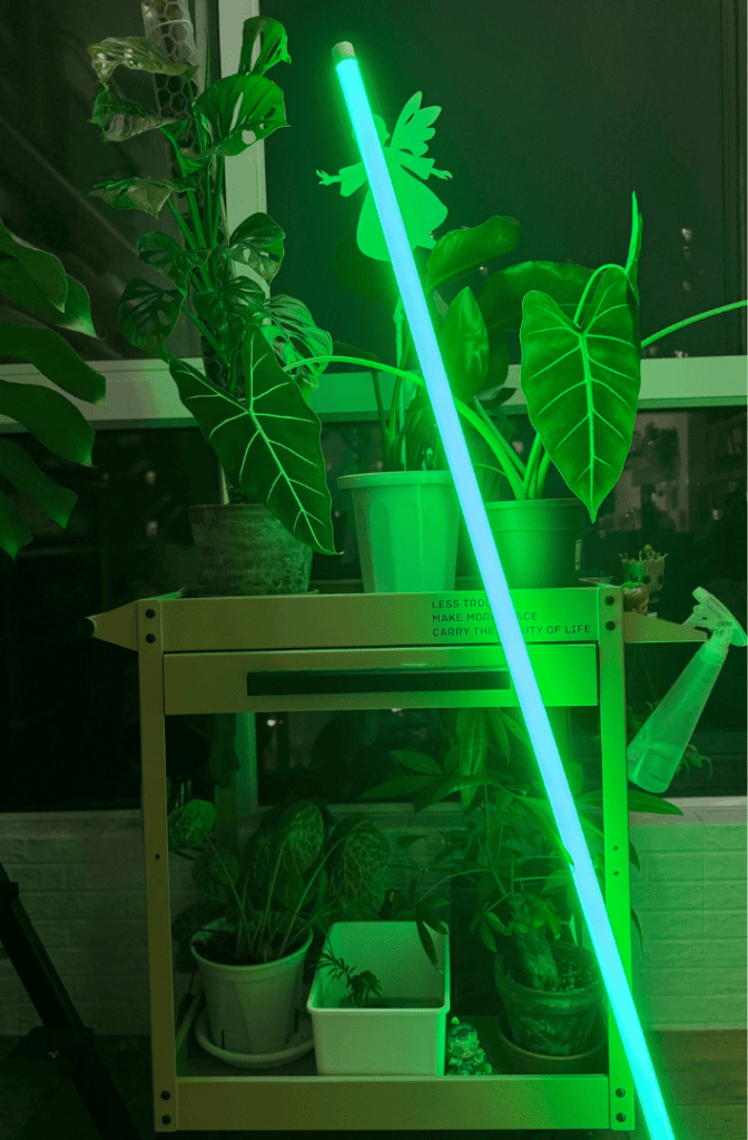 LED Neon Tube Light, RGB Tube Light | Echo Neon